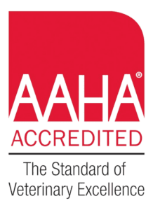 Best Vet Hospital In Basking Ridge NJ | Basking Ridge Animal