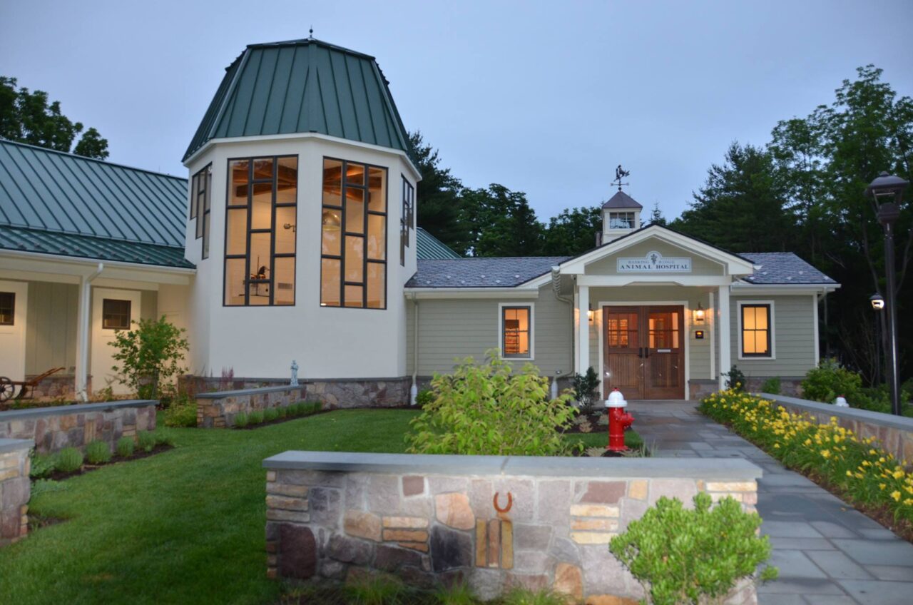 Basking Ridge Animal Hospital Tour | Vet In Basking Ridge NJ